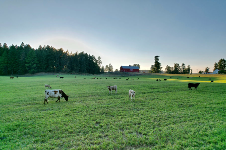 Paladin Conservancy | Gallery